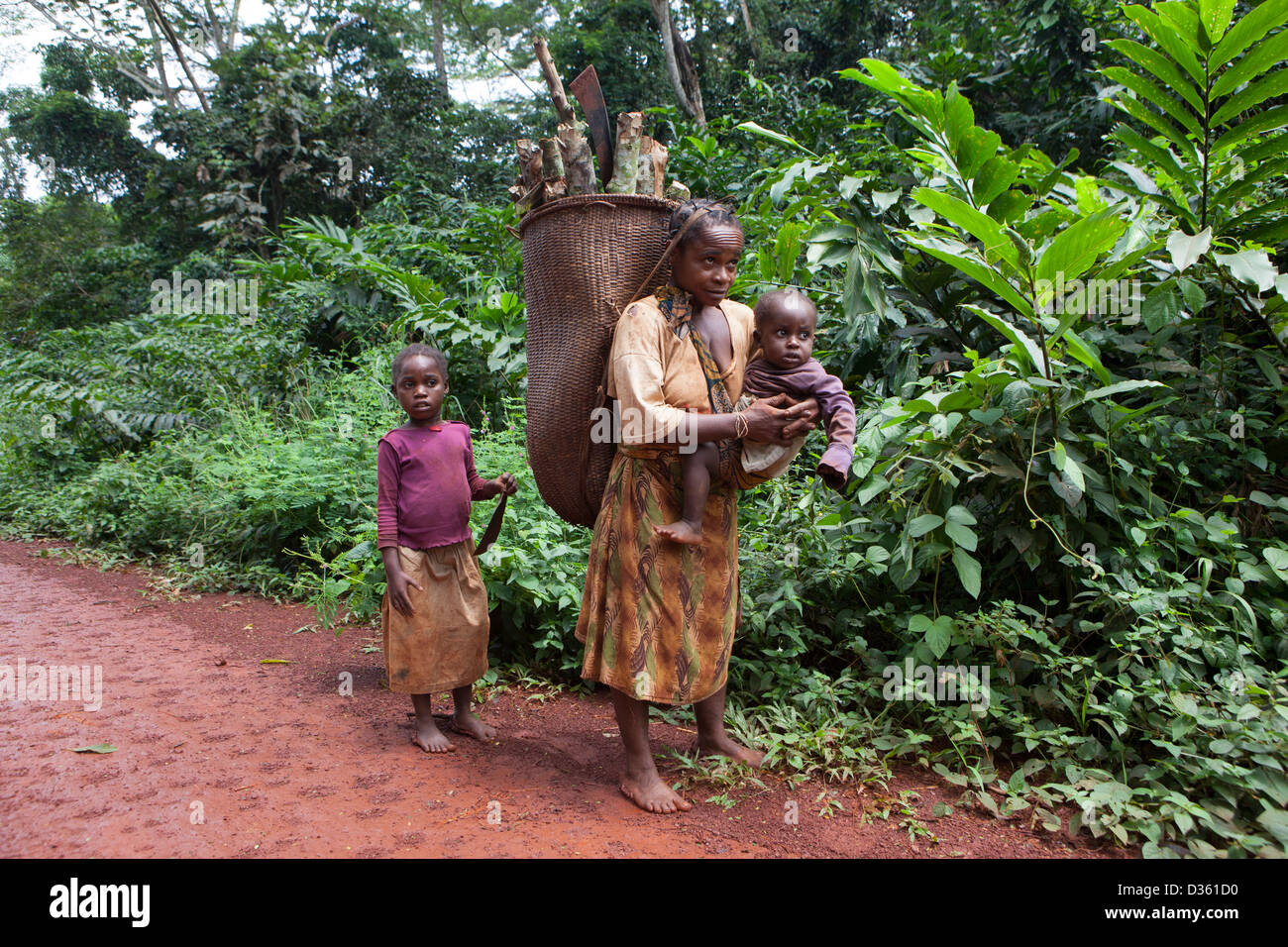 Congo forest walk hi-res stock photography and images - Alamy