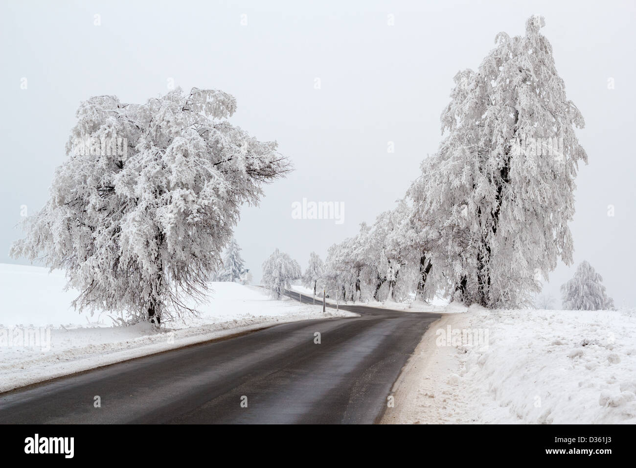 Nice winter landscape with trees snow and sun Stock Photo - Alamy