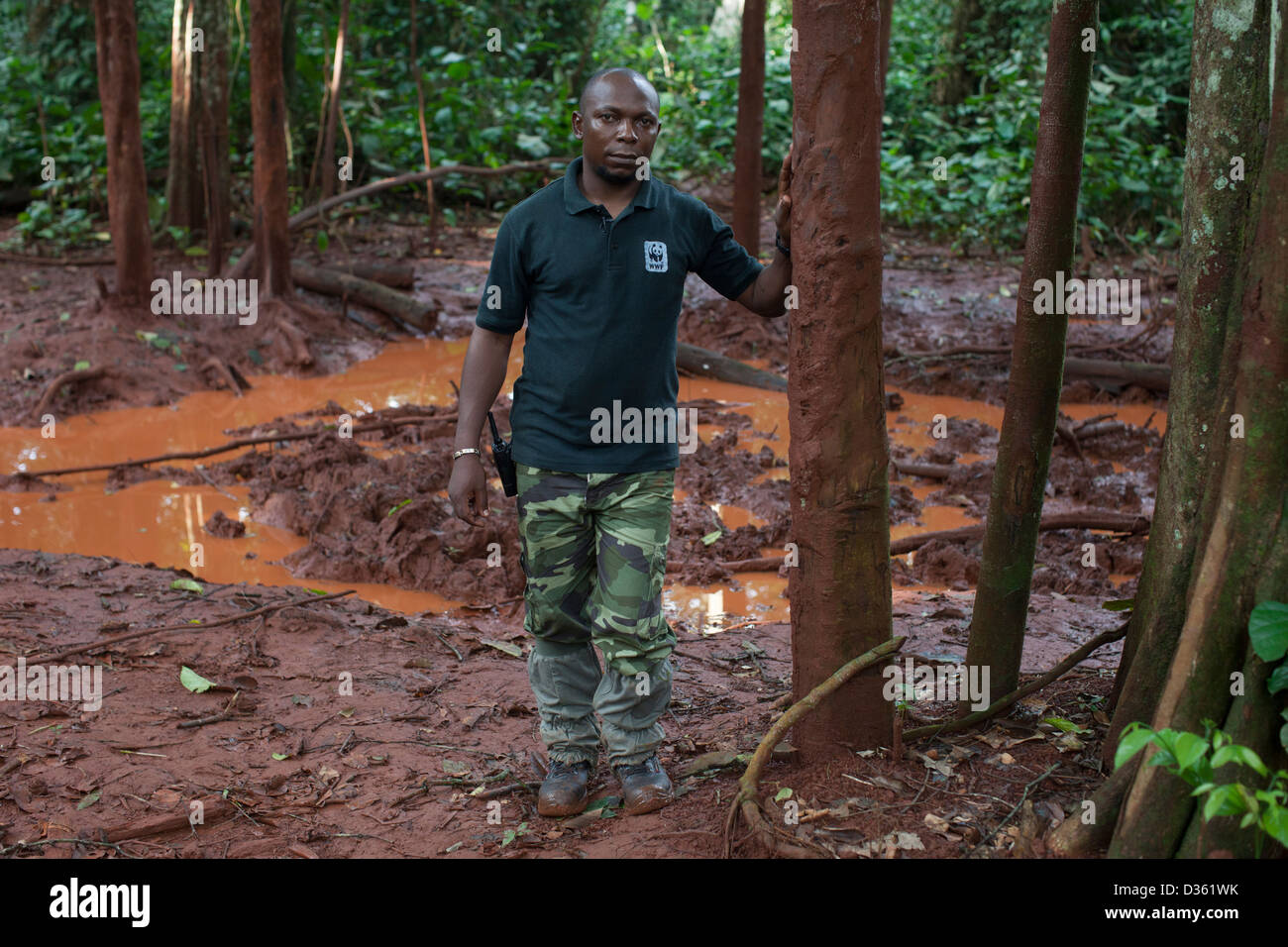 Female ranger hi-res stock photography and images - Alamy