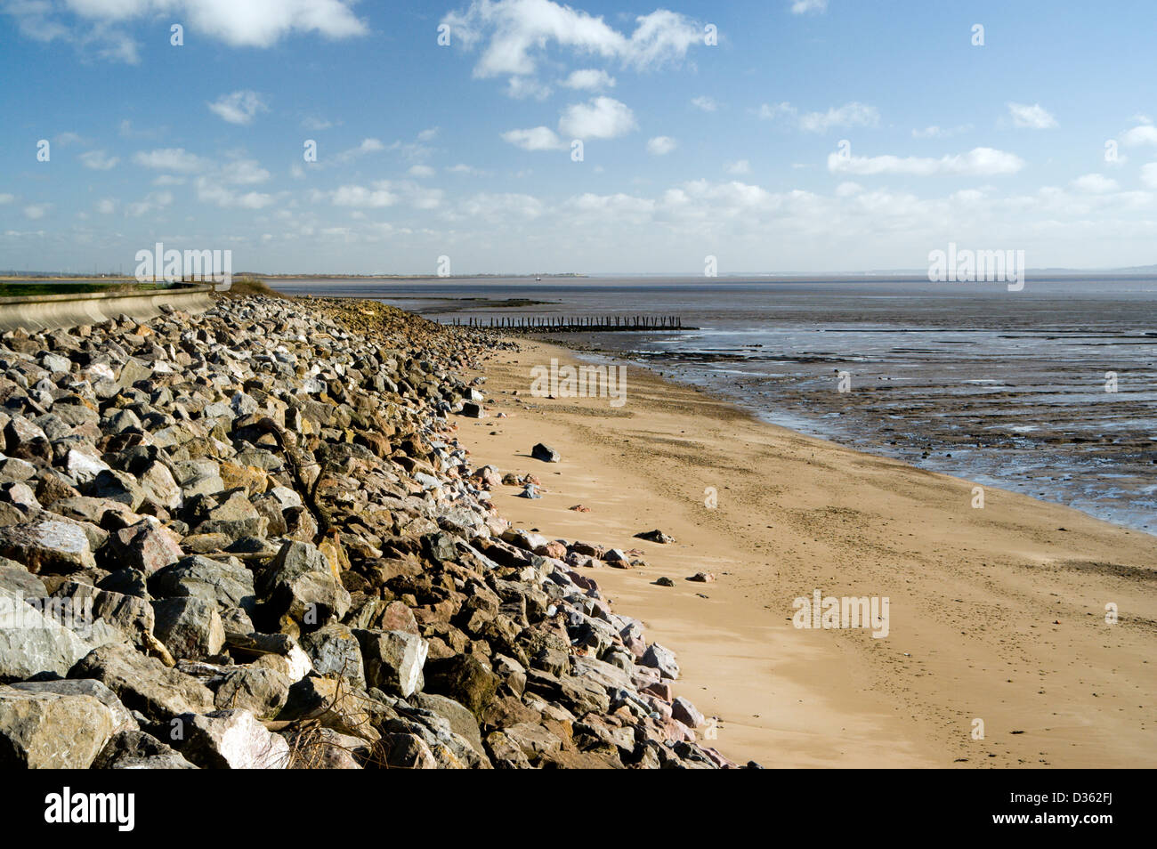 Gwent birds hi-res stock photography and images - Alamy