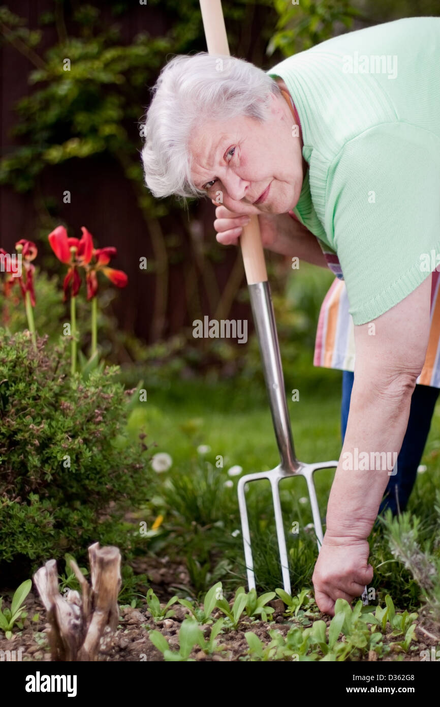 Senior in the garden Stock Photo - Alamy