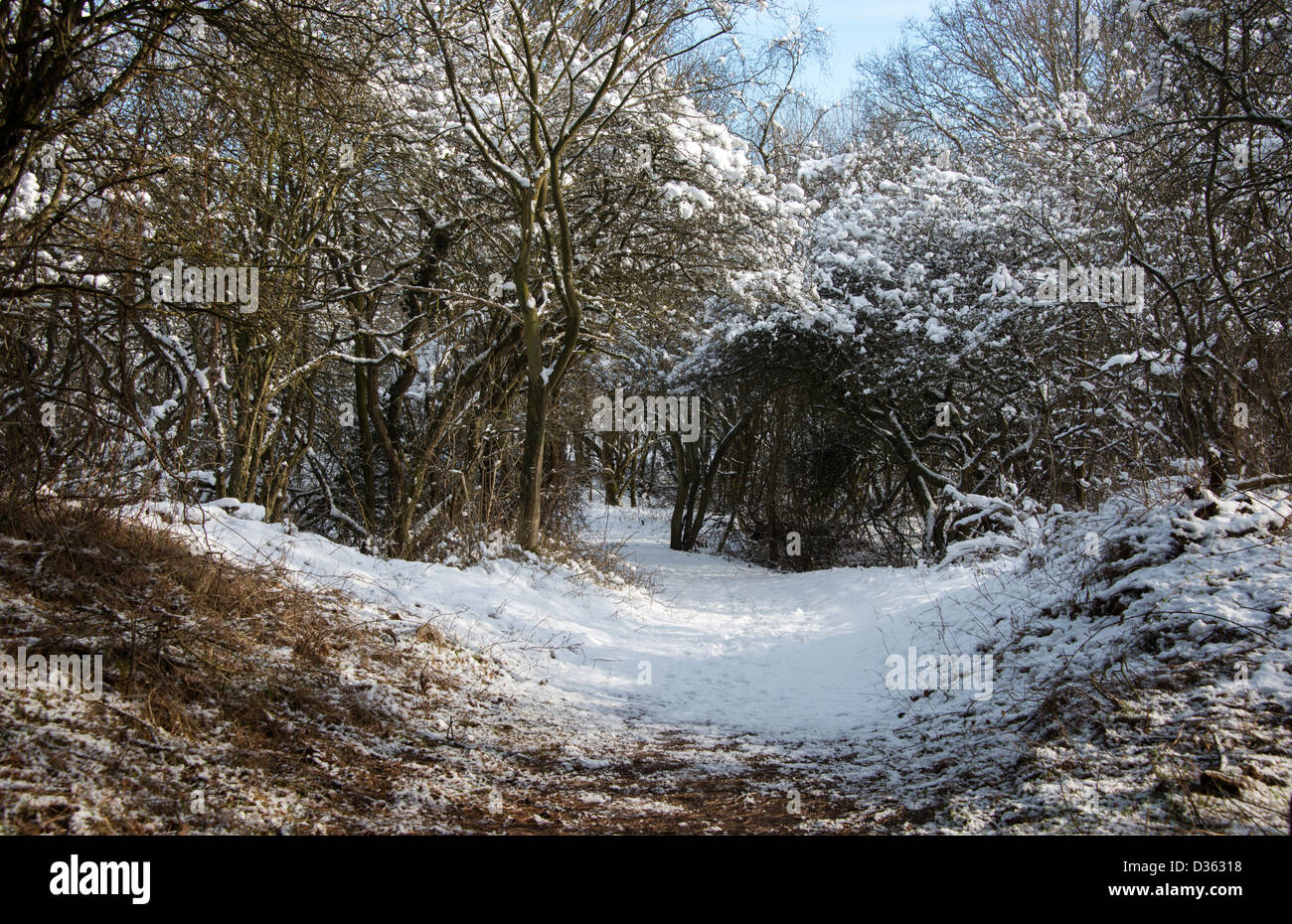 Dark blue snow landscape sky hi-res stock photography and images - Alamy