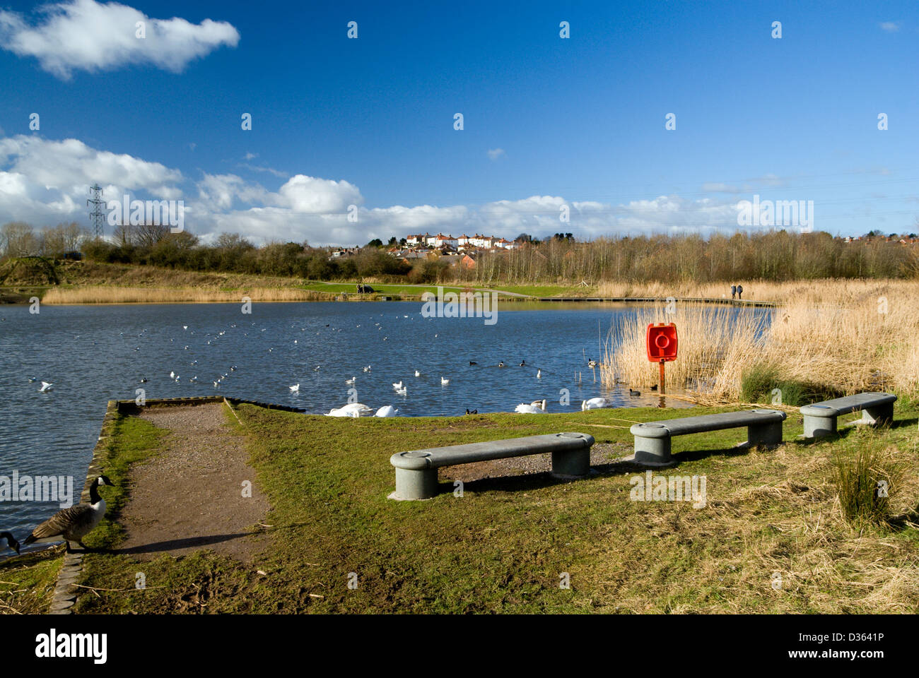 Lamby lake hi-res stock photography and images - Alamy