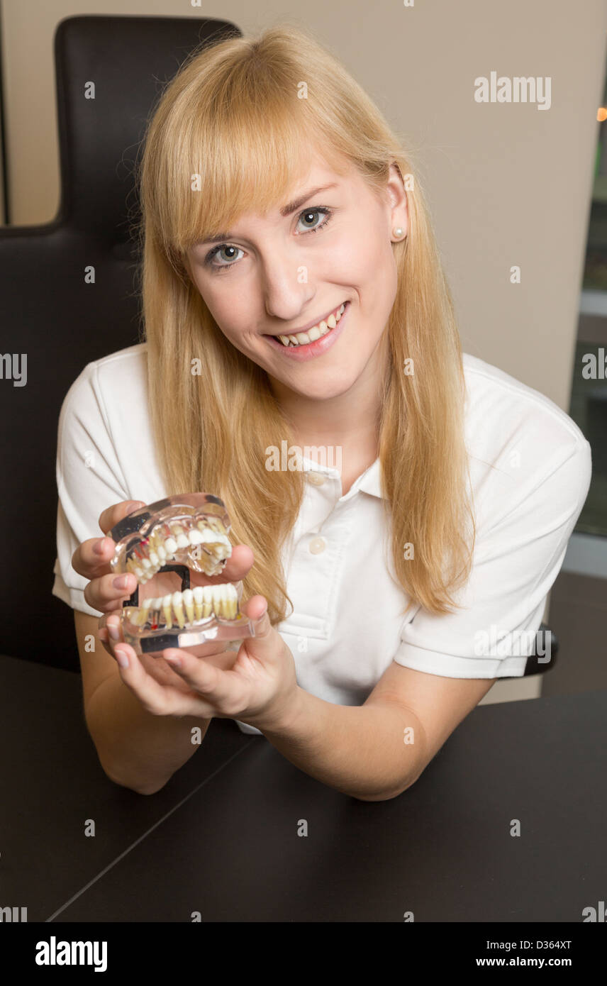 Female dental technician presenting model of human denture in the ...