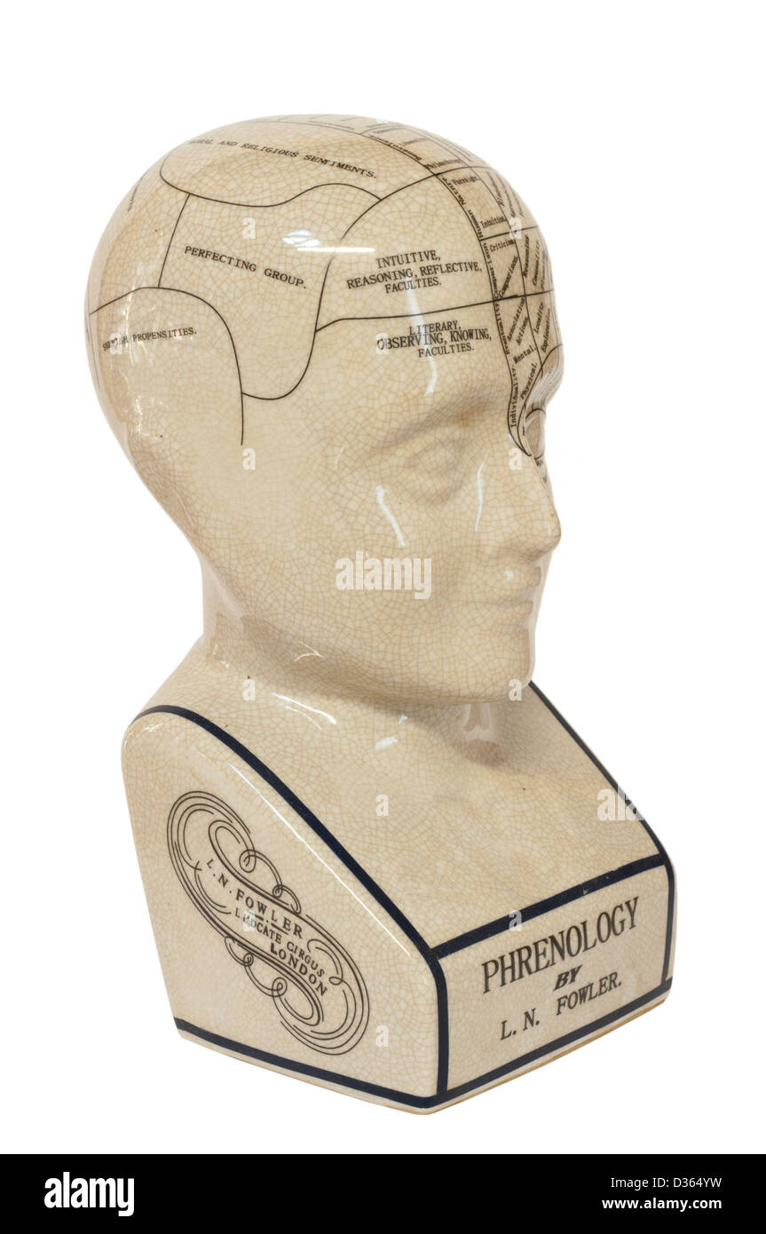 Phrenology hi-res stock photography and images - Alamy