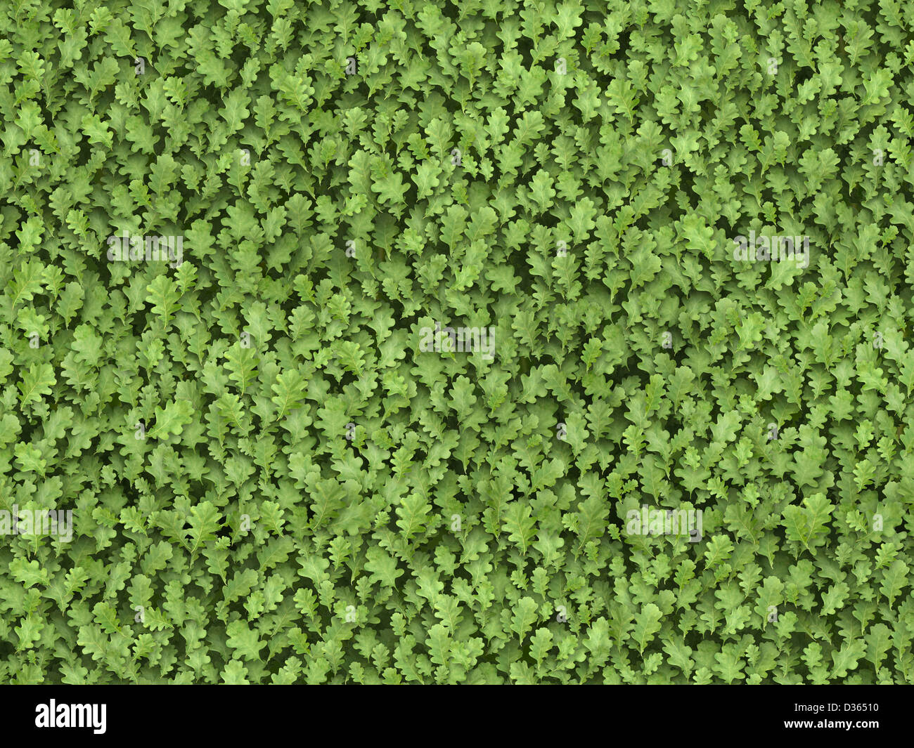 Seamless green leaves tiled texture pattern Stock Photo - Alamy