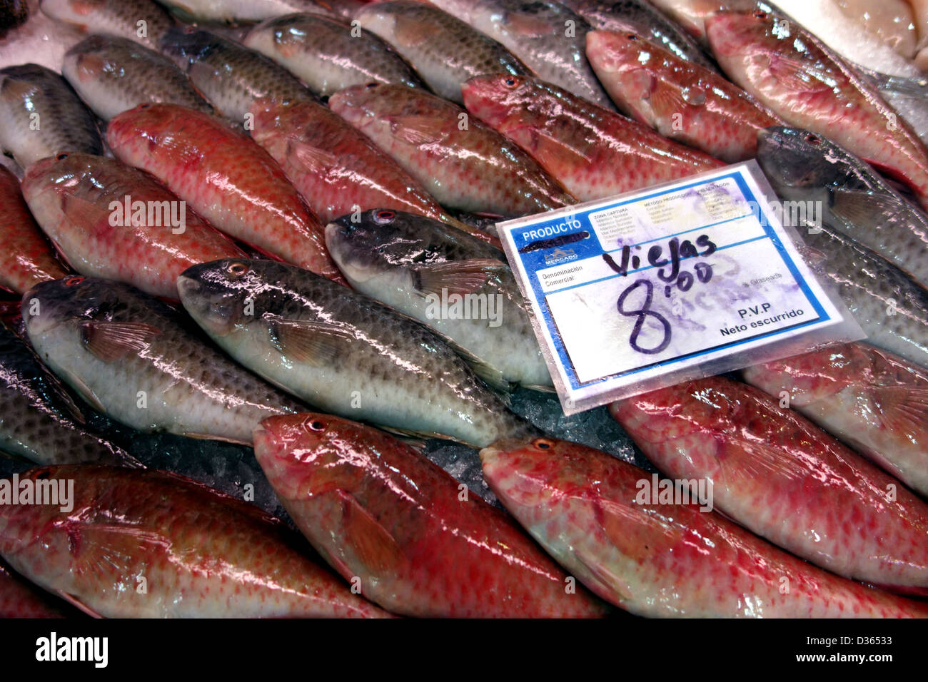 Viejas (local variety of fish) on sale in Santa Cruz, Tenerife, Canary ...