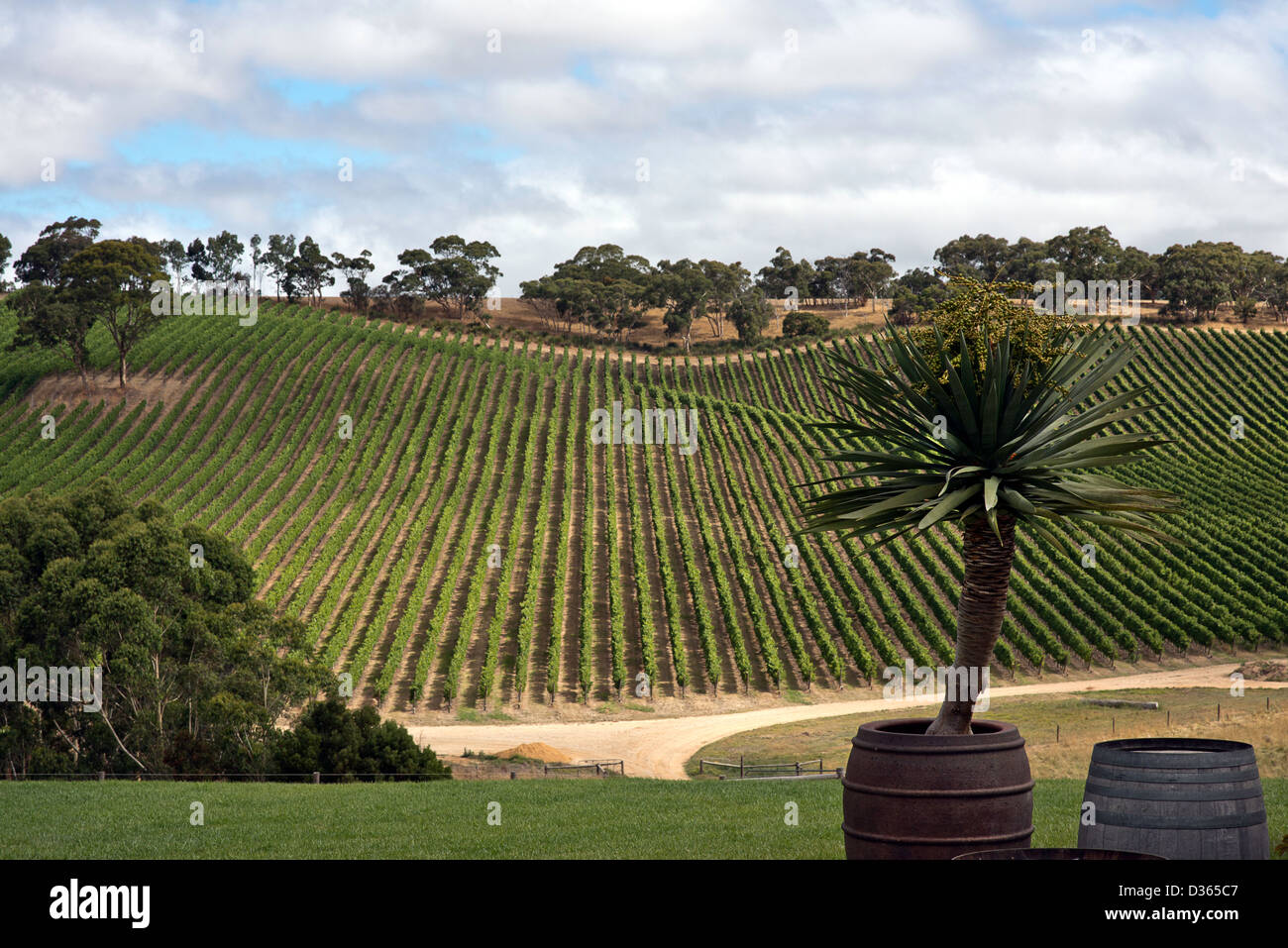 Macclesfield south australia hi-res stock photography and images - Alamy