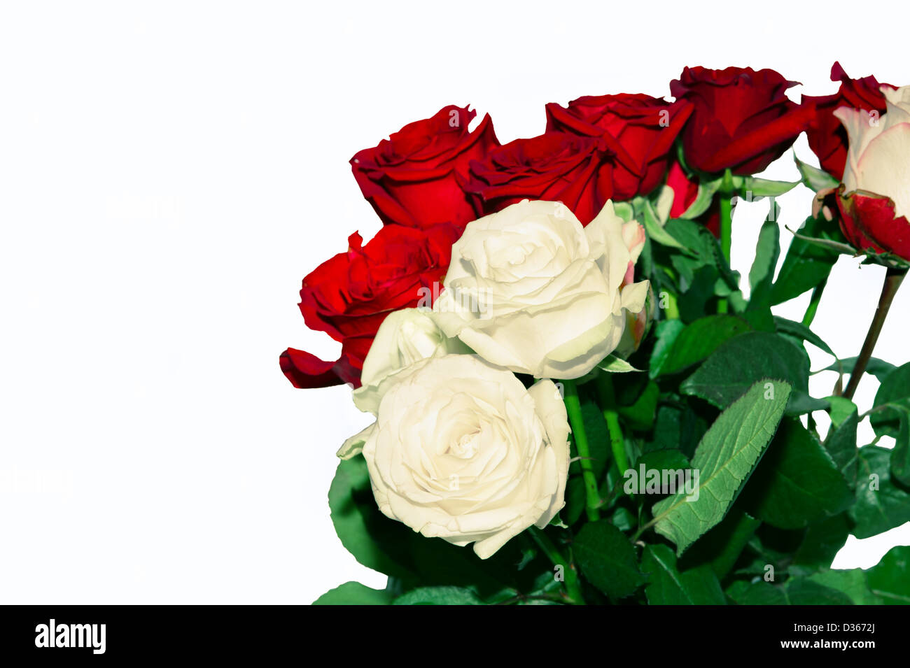 Many brides hi-res stock photography and images - Alamy