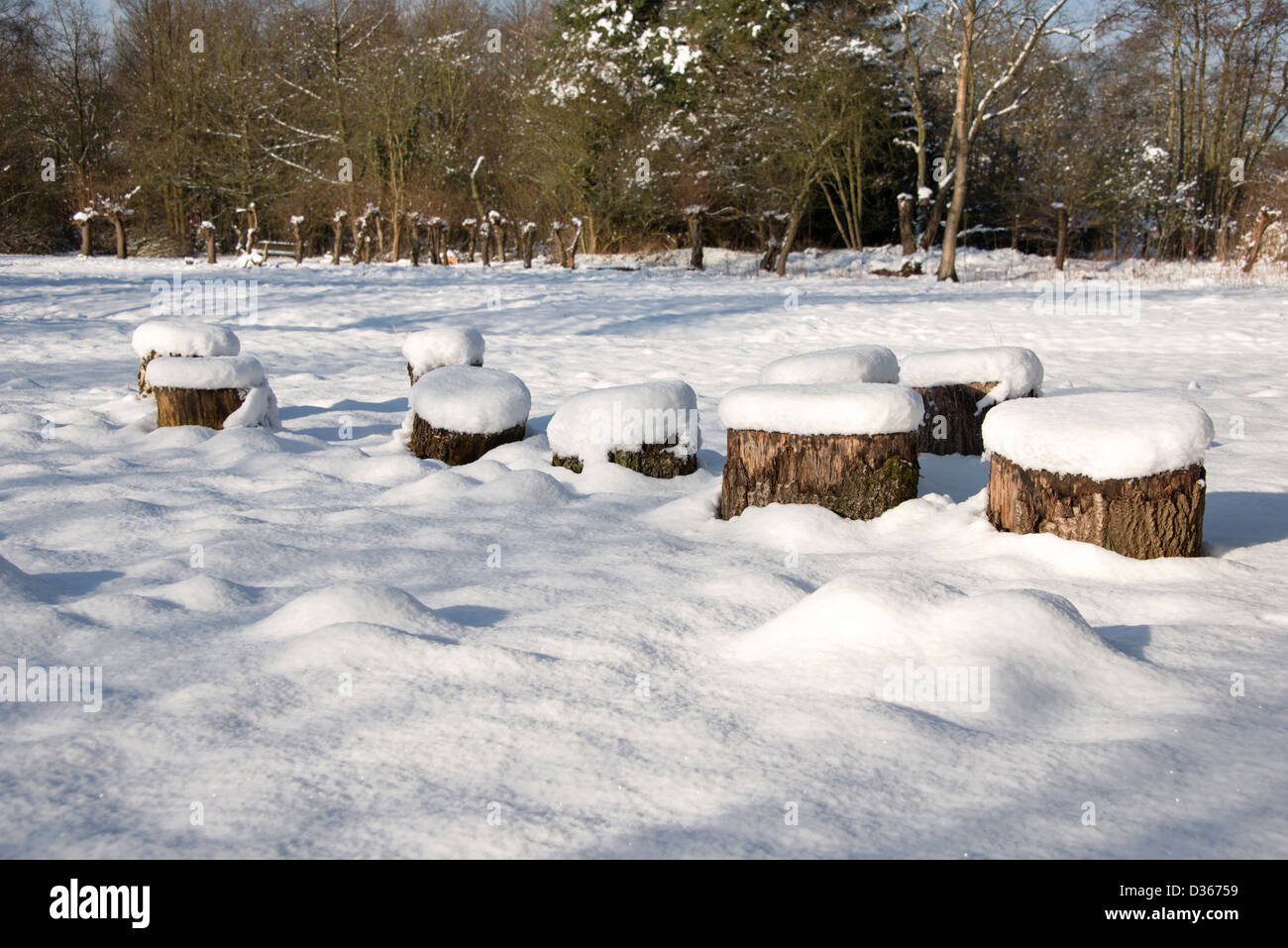 Landscape snow wood trees forest hi-res stock photography and images ...