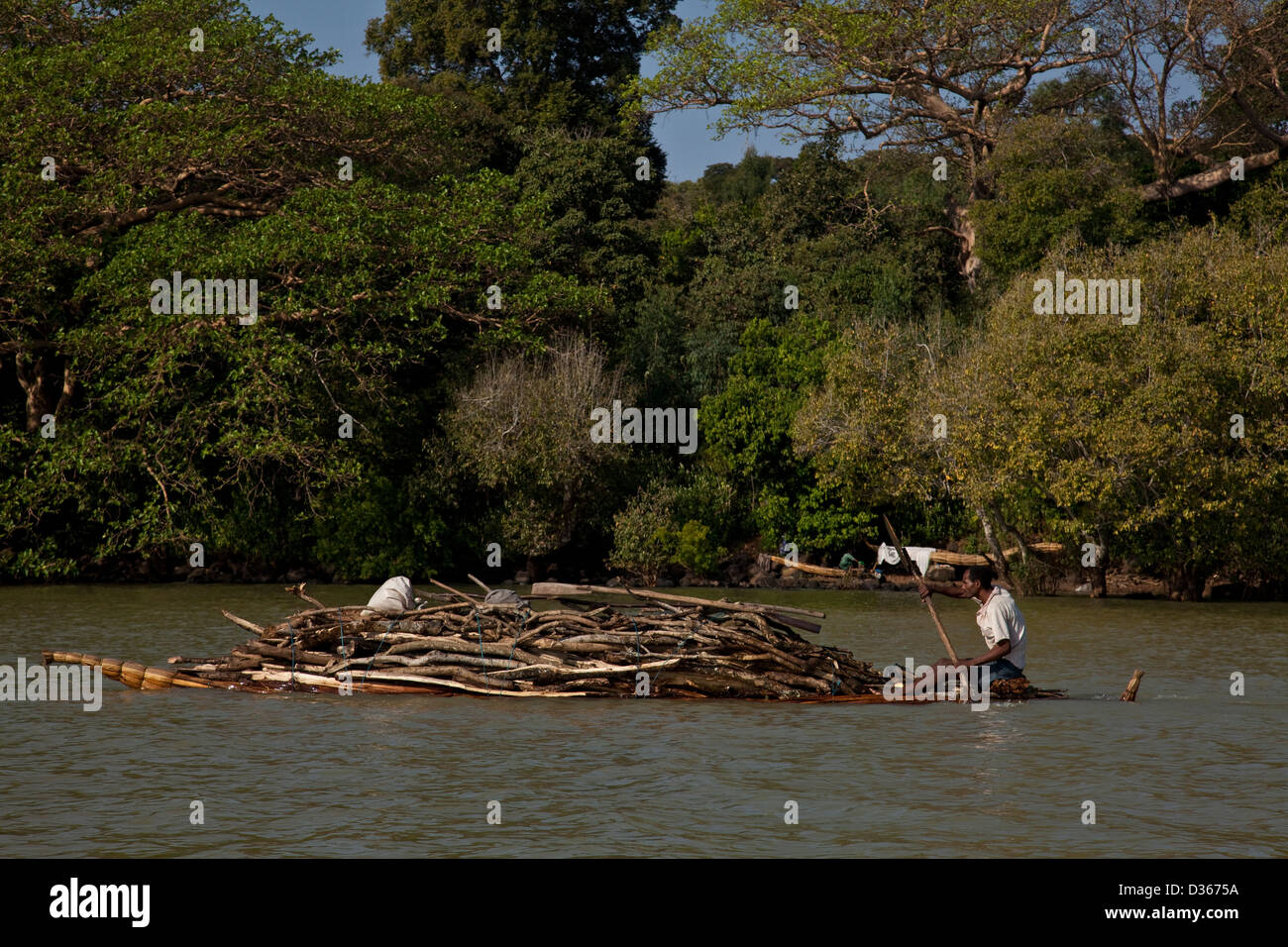 Local men transport wood across Lake Tana by Tankwa (Papyrus Boat ...