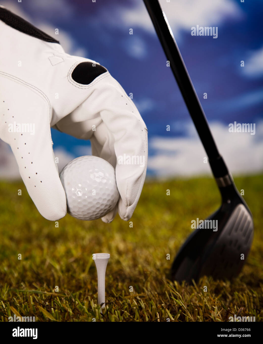 Hand hold golf ball with tee on course Stock Photo - Alamy