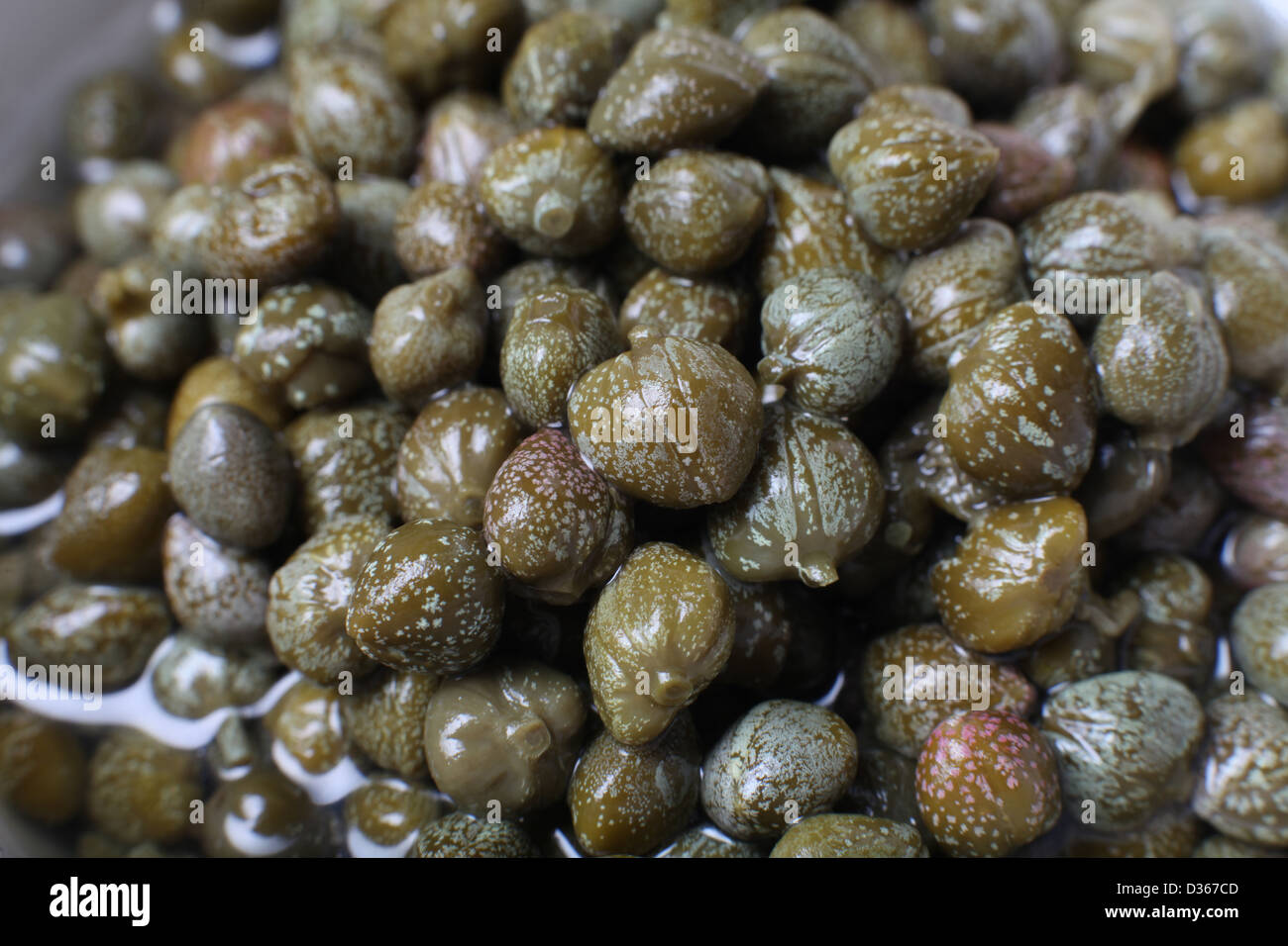 Caper Berries pickled in vinegar Stock Photo - Alamy