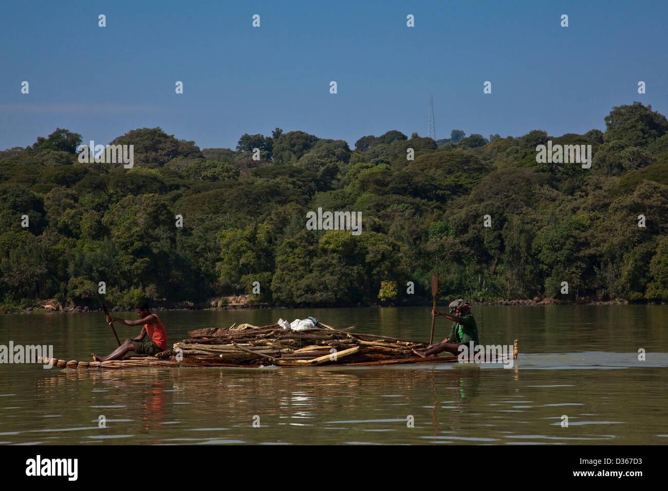 Local men transport wood across Lake Tana by Tankwa (Papyrus Boat ...