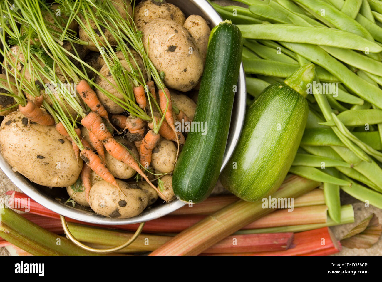 Garden rhubarb courgette hi-res stock photography and images - Alamy