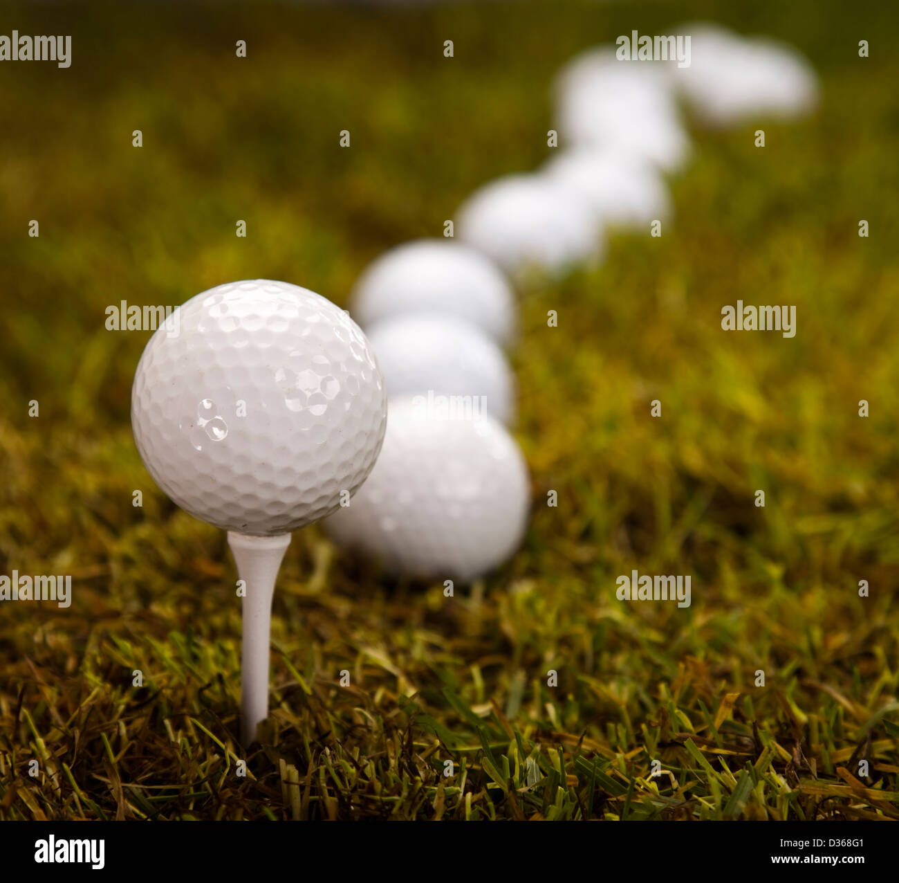 Golf ball on tee Stock Photo - Alamy
