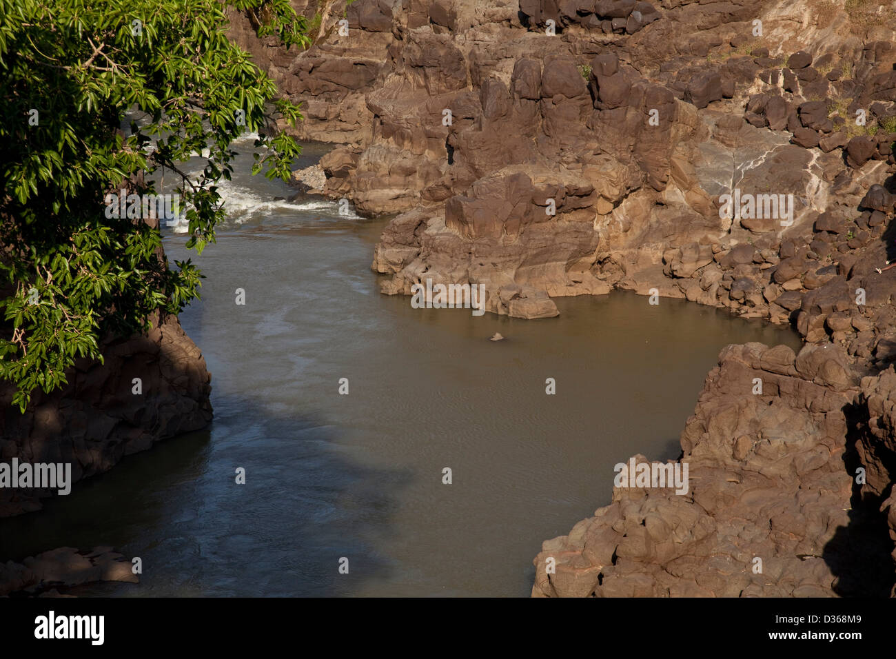 Tis abay hi-res stock photography and images - Alamy