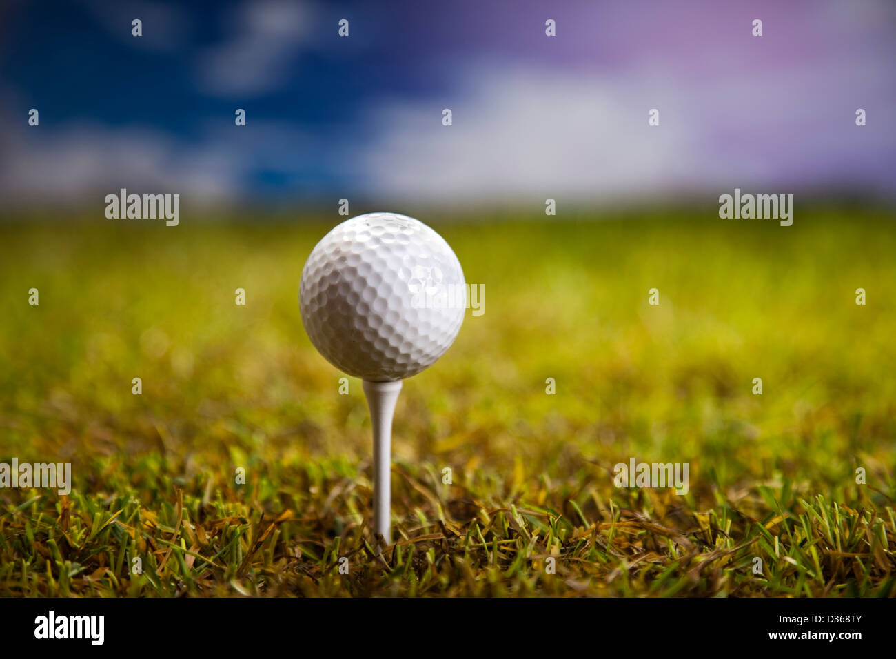 Playing golf, ball on tee Stock Photo - Alamy