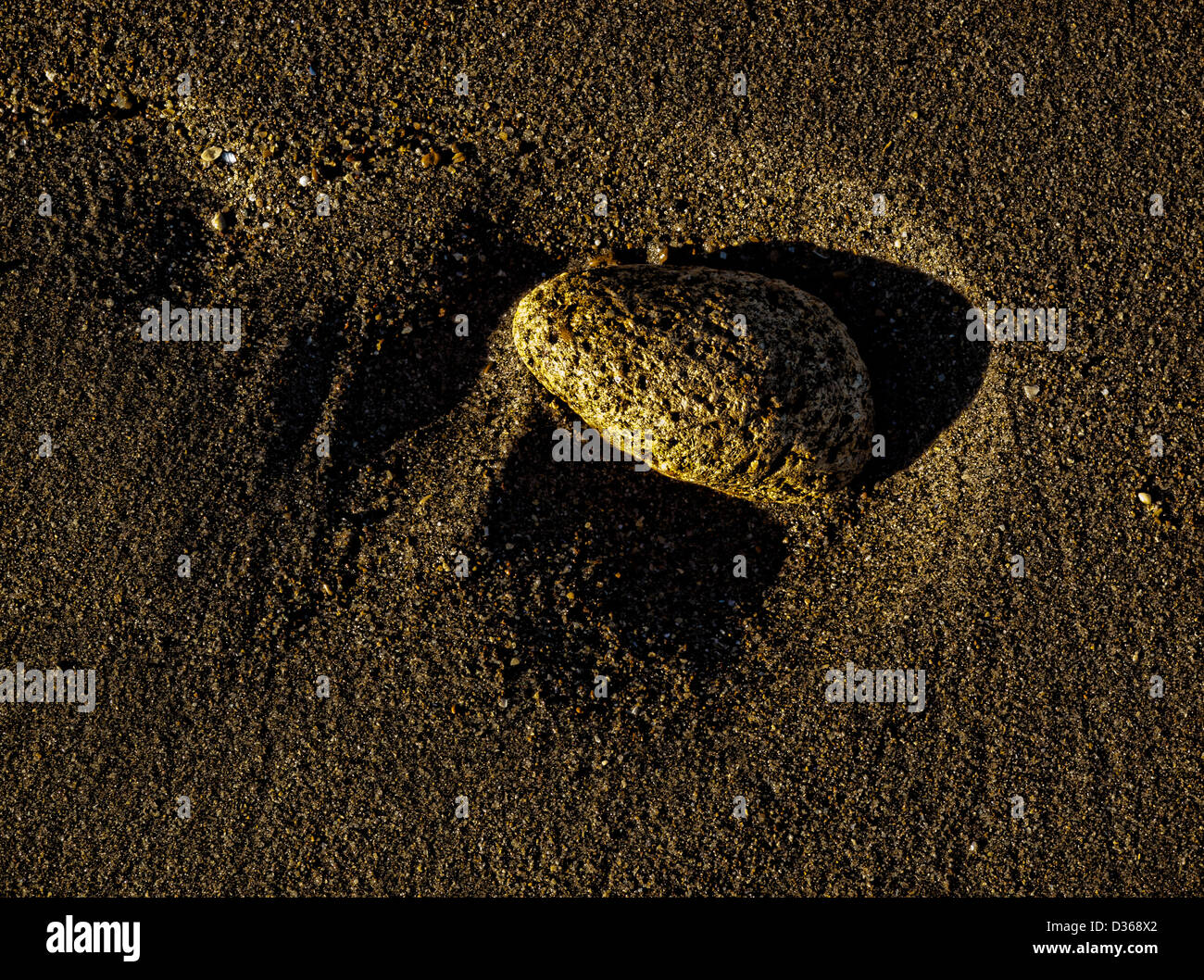 Rock in Sand Stock Photo - Alamy