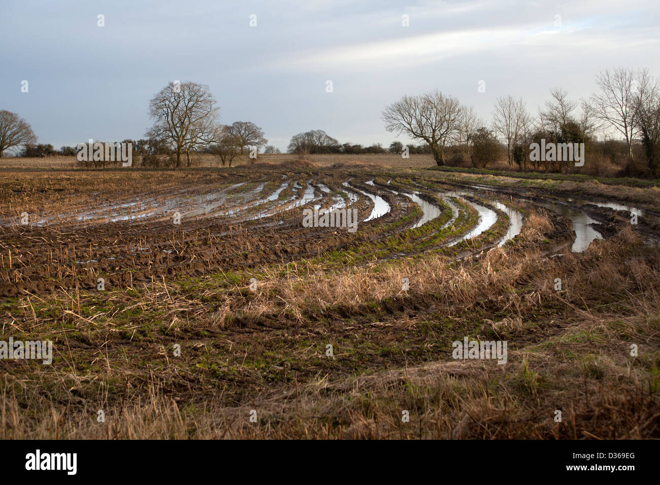 Flooded farm hi-res stock photography and images - Alamy