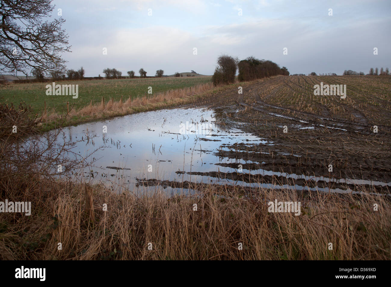 Flooded farm hi-res stock photography and images - Alamy