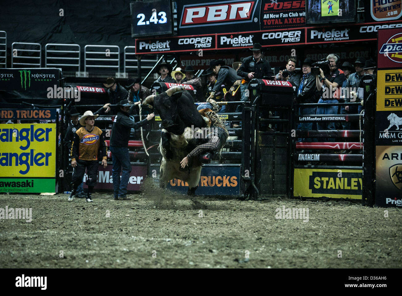 Bull riding indoor hi-res stock photography and images - Alamy