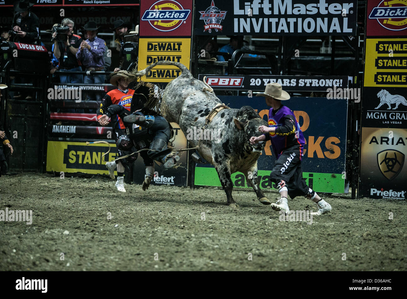 Mike bull hi-res stock photography and images - Alamy