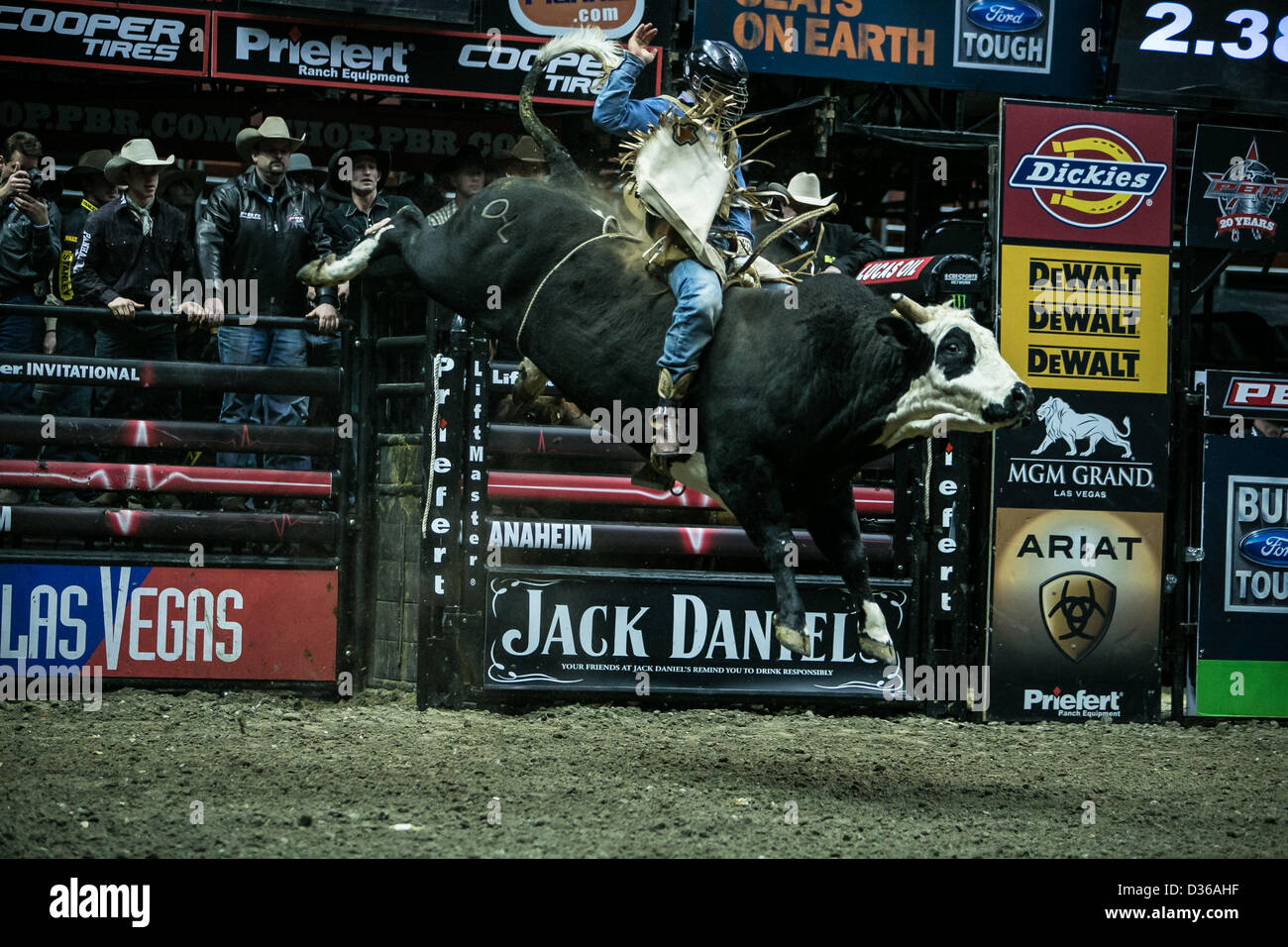 Professional bull riders hi-res stock photography and images - Alamy