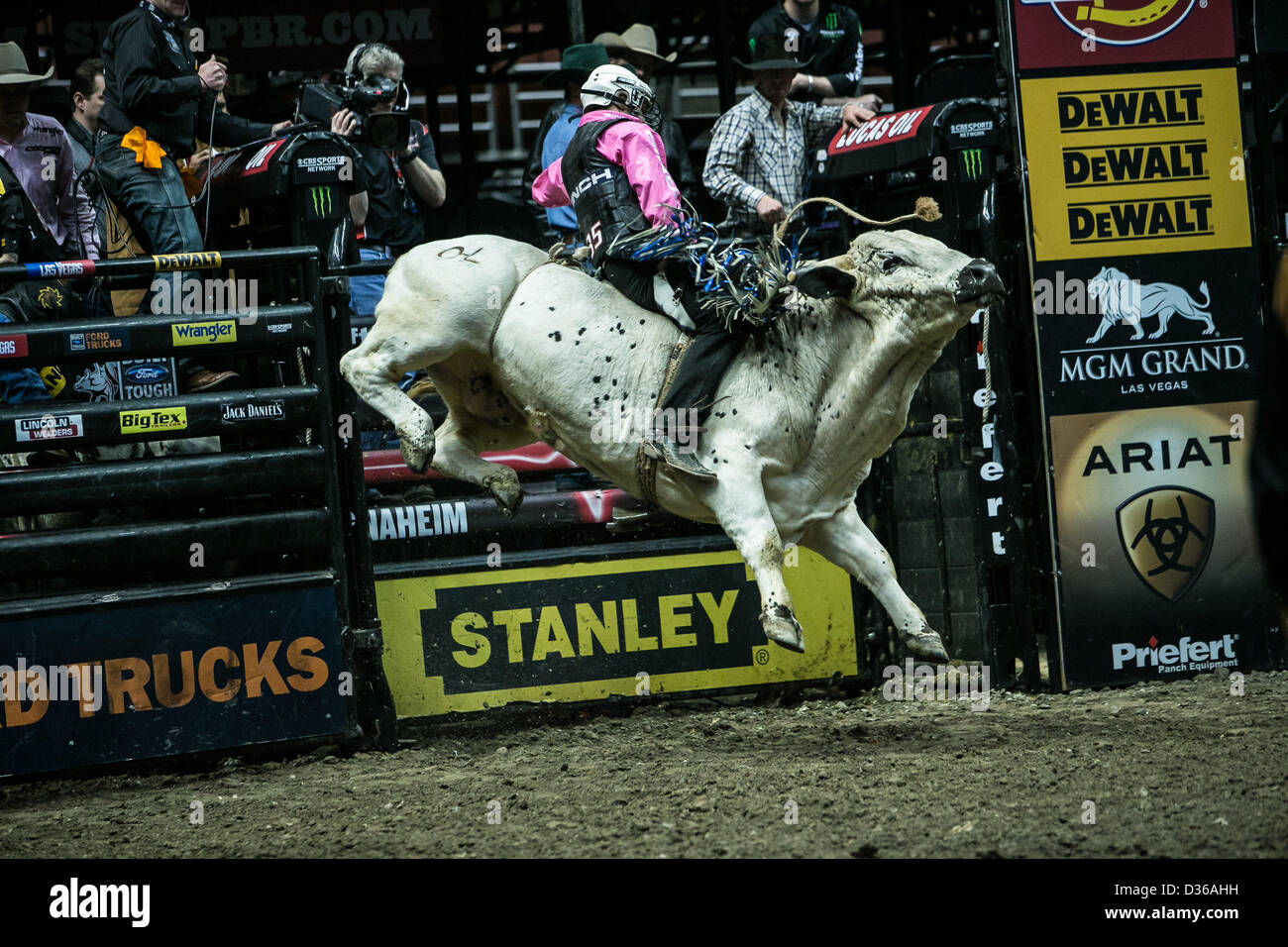 Shane Proctor High Resolution Stock Photography and Images - Alamy