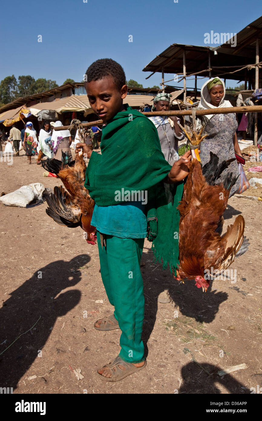 Selling live chickens hi-res stock photography and images - Alamy