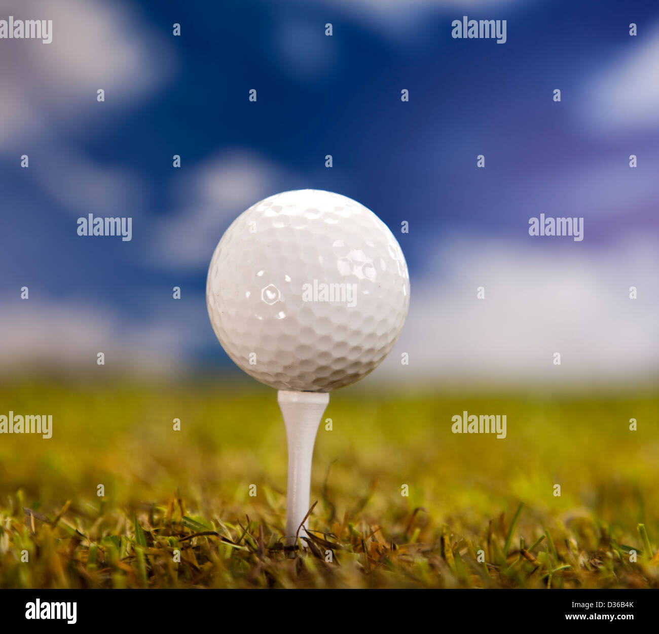 Golf ball on tee Stock Photo - Alamy