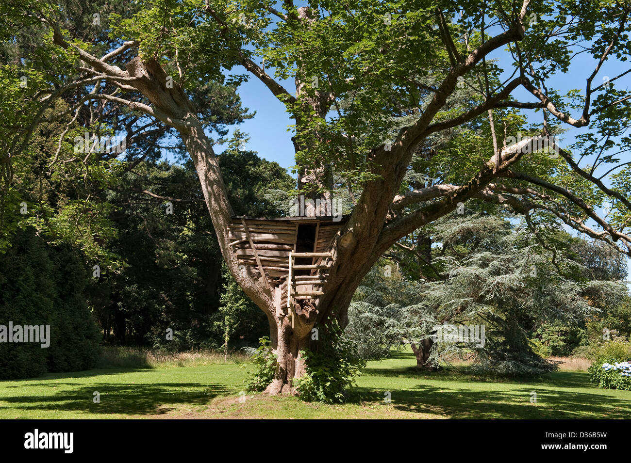 Treehouse uk hi-res stock photography and images - Alamy
