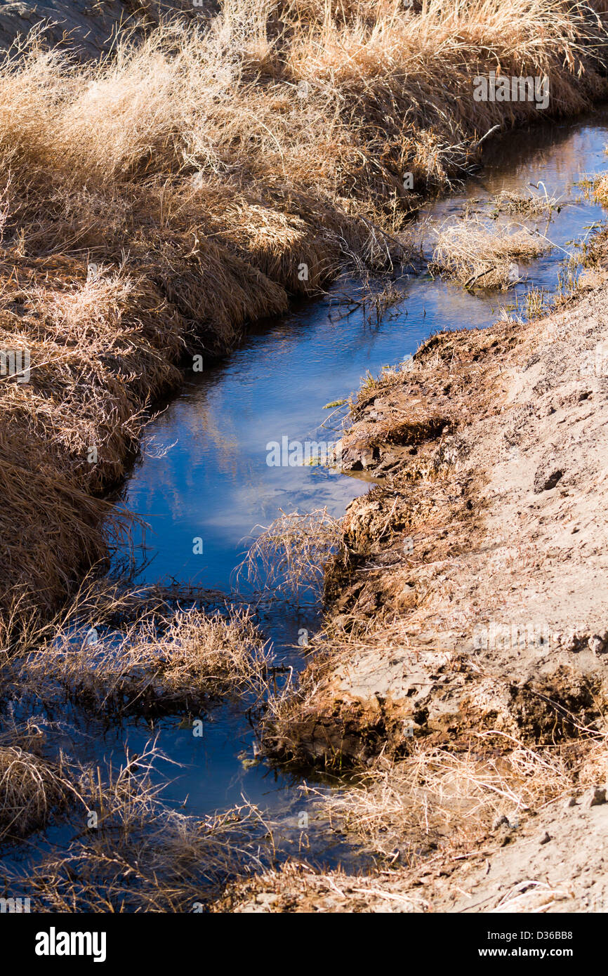 Drainage ditch filled with little water Stock Photo - Alamy
