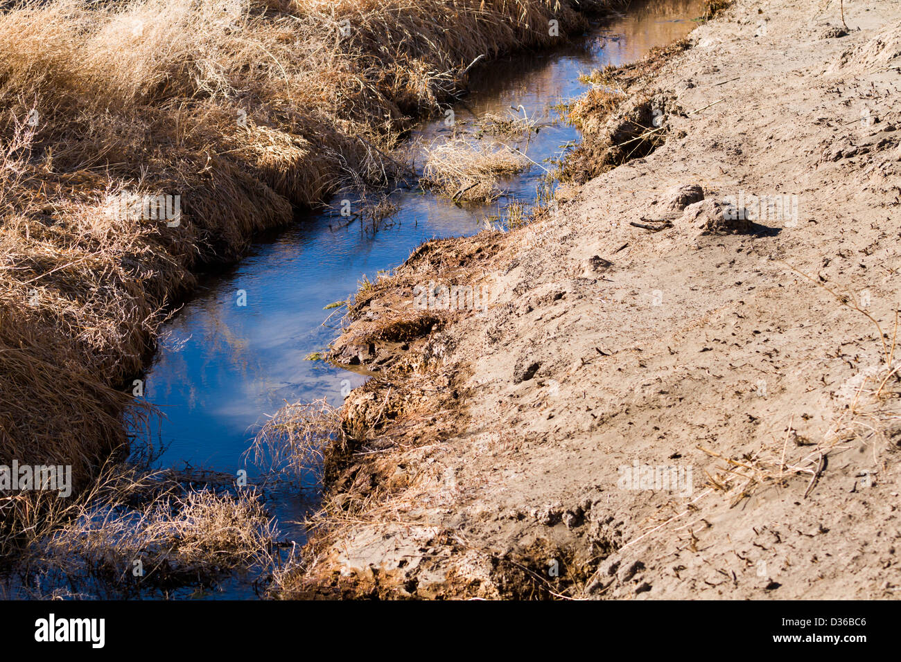 Drainage ditch filled with little water Stock Photo - Alamy