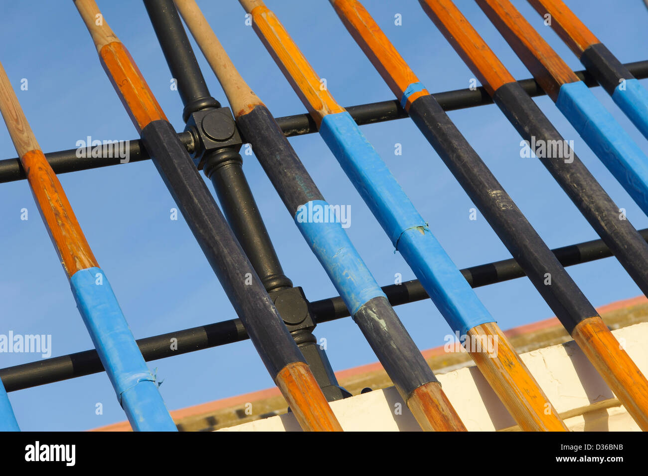 Traditional wooden oars from a racing skiff (rowing boat) drying in the ...