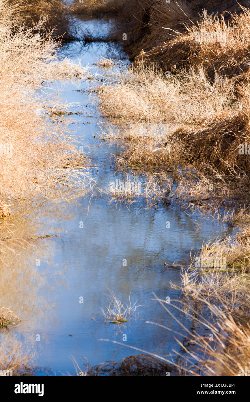 Drainage ditch filled with little water Stock Photo - Alamy