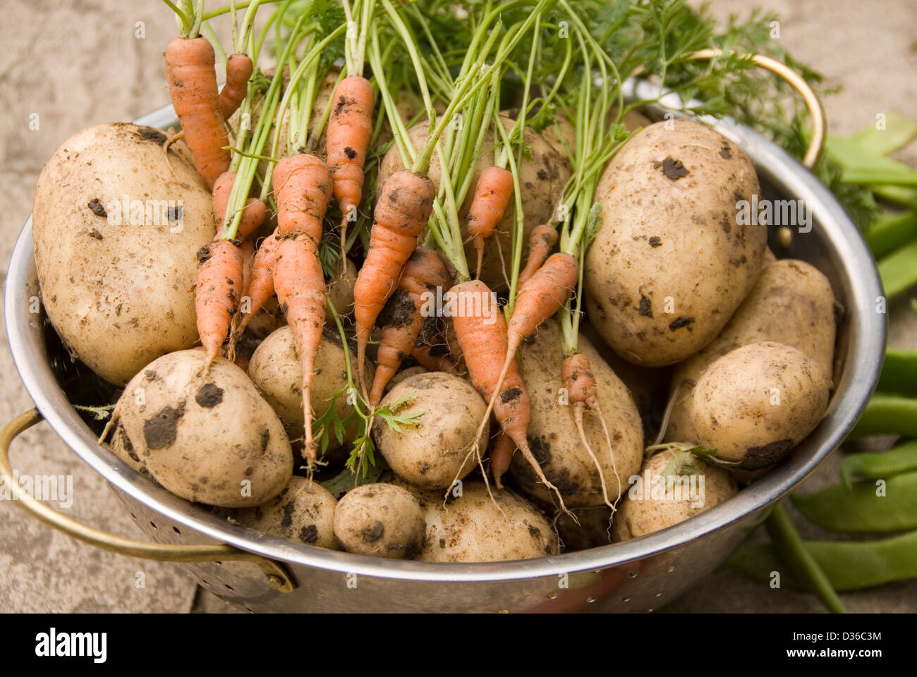 Fresh Harvest of Garden Grown Organic Vegetables, Grown Your Own ...