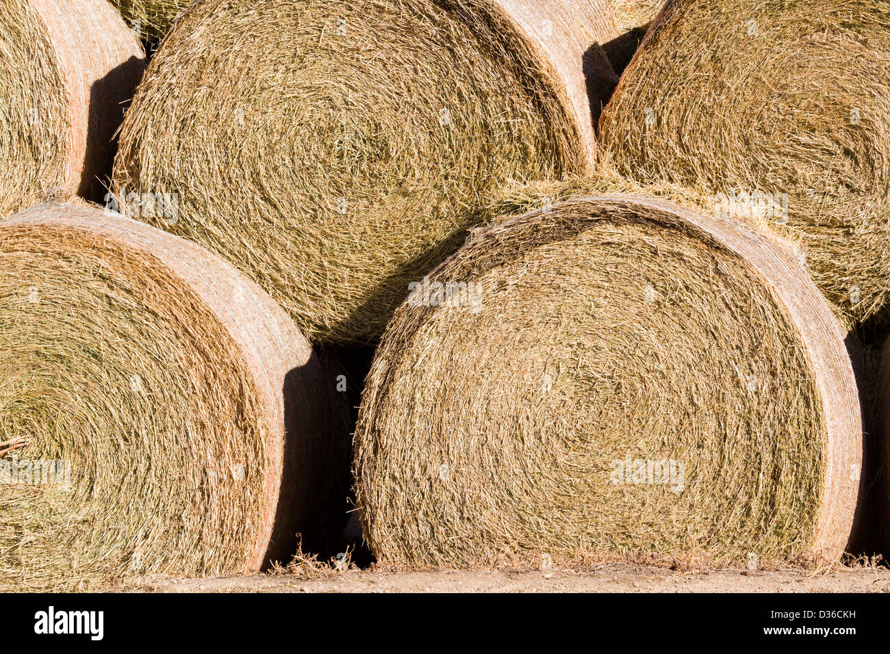 Hay rolls stack for storage on the farm Stock Photo - Alamy