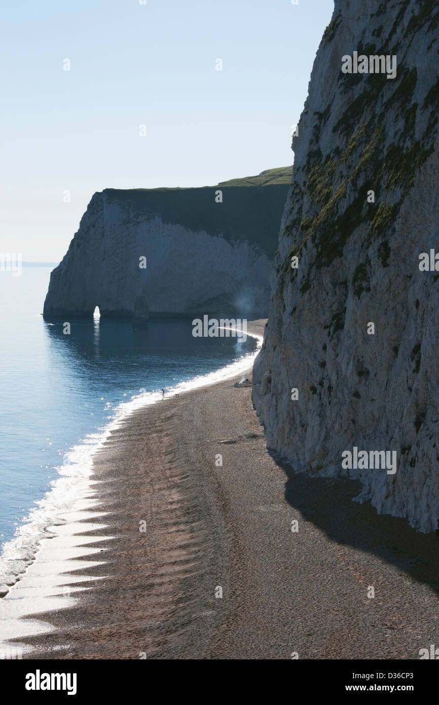 Bat’s head hi-res stock photography and images - Alamy