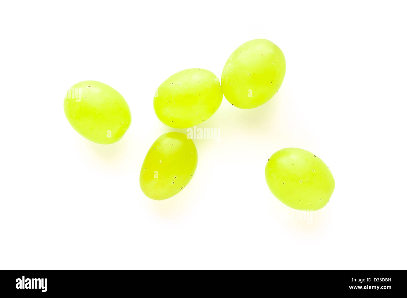 Five leafs hi-res stock photography and images - Alamy