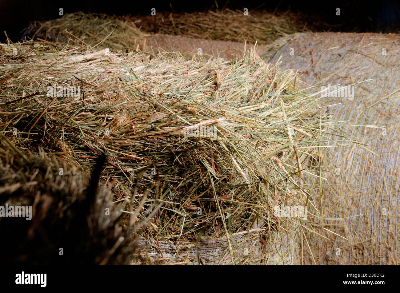 Golden straw in a barn stacked on the farm Stock Photo - Alamy