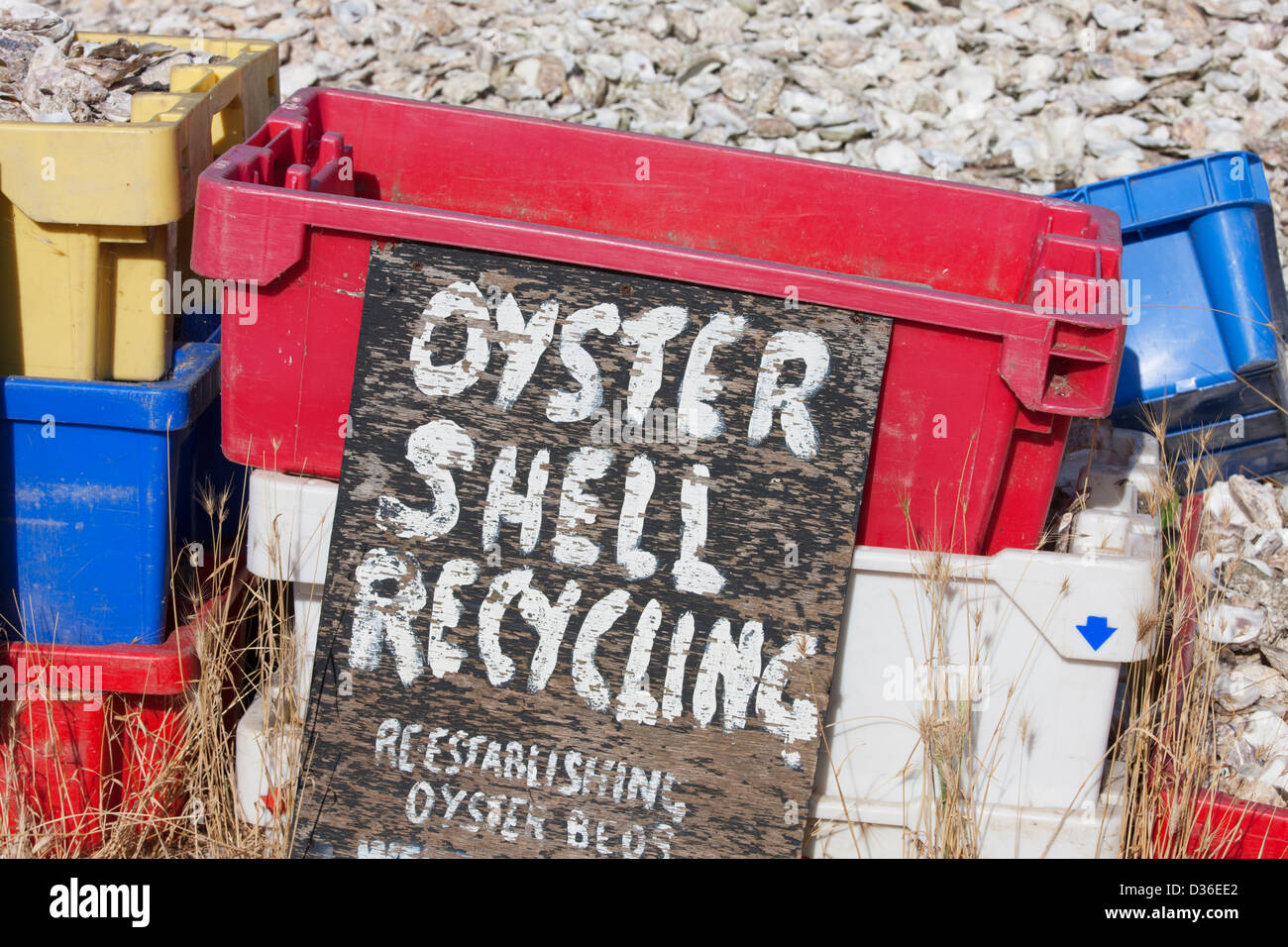 Oyster sign oyster shells whitstable hi-res stock photography and ...