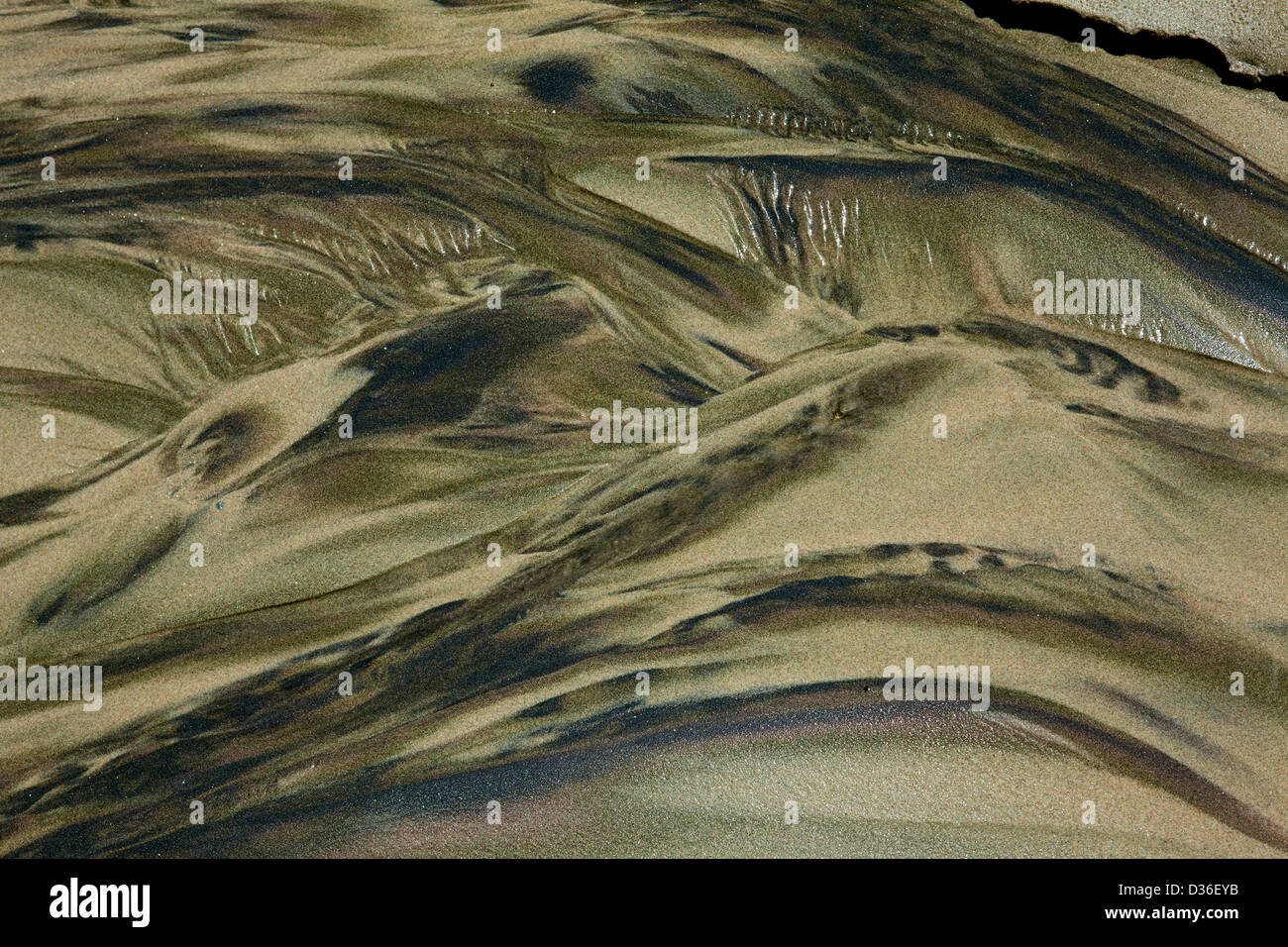 OR00999-00...OREGON - Pattern and texture in the sand at Agate Beach ...