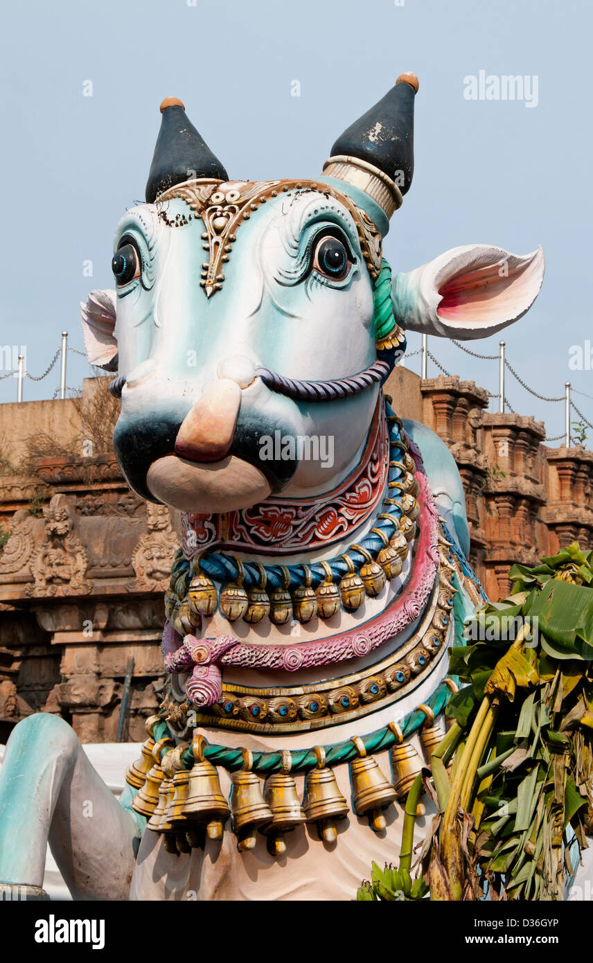 Holy Cow near Sri Meenakshi Amman Temple Hindu ( dedicated to Parvati ...