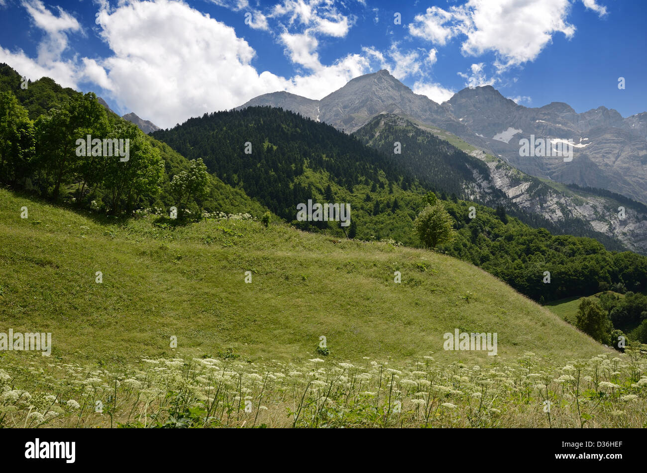 Pyrenees in summer Stock Photo - Alamy