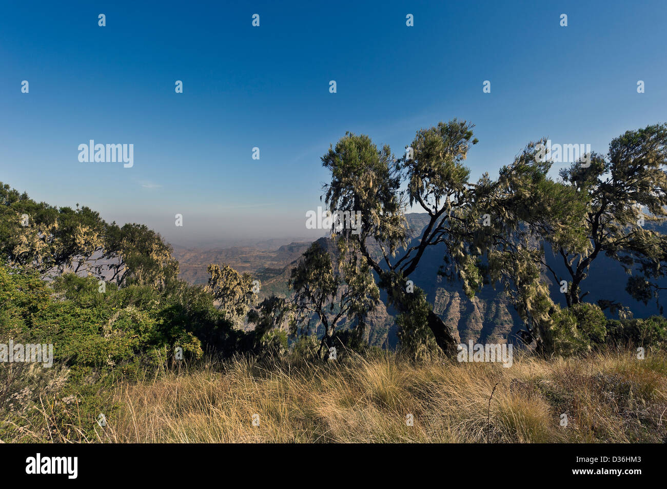 Simien mountains np ethiopia hi-res stock photography and images - Alamy