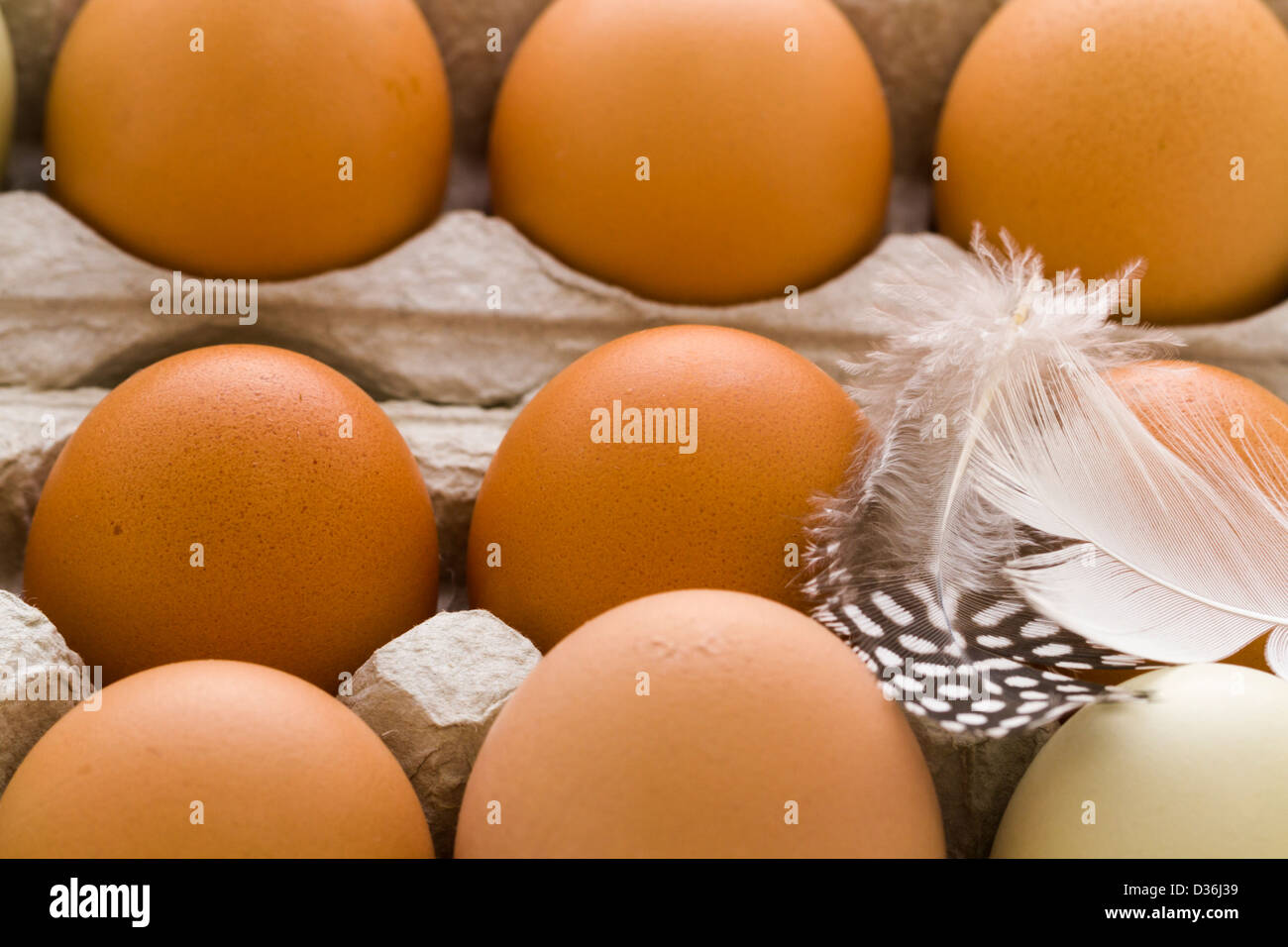 Fresh eggs delivered from the local farm Stock Photo - Alamy