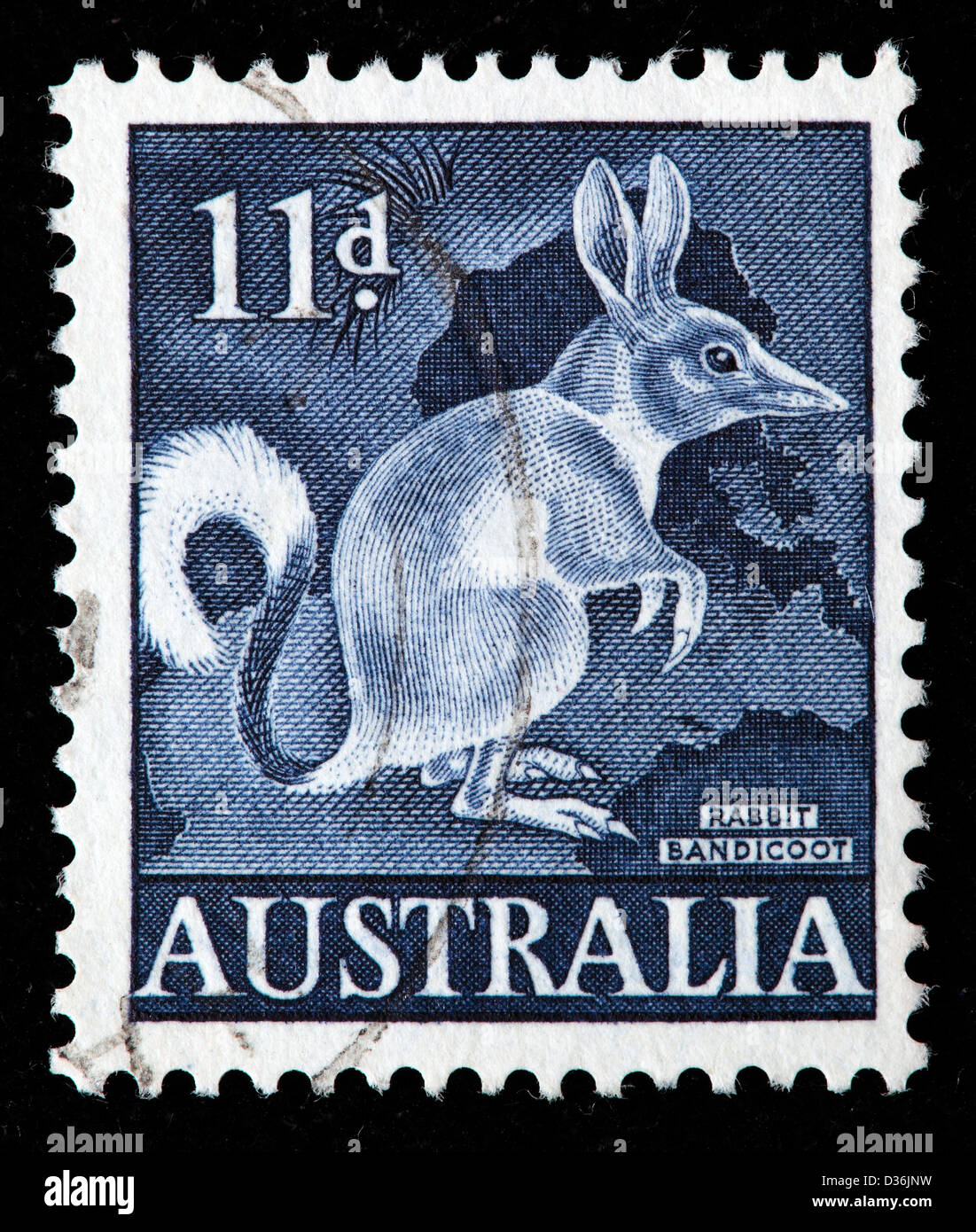 Rabbit bandicoot, postage stamp, Australia, 1959 Stock Photo - Alamy