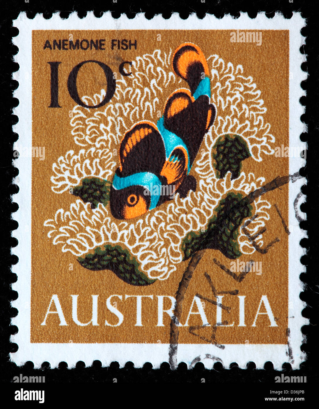 Anemone fish, postage stamp, Australia, 1963 Stock Photo - Alamy
