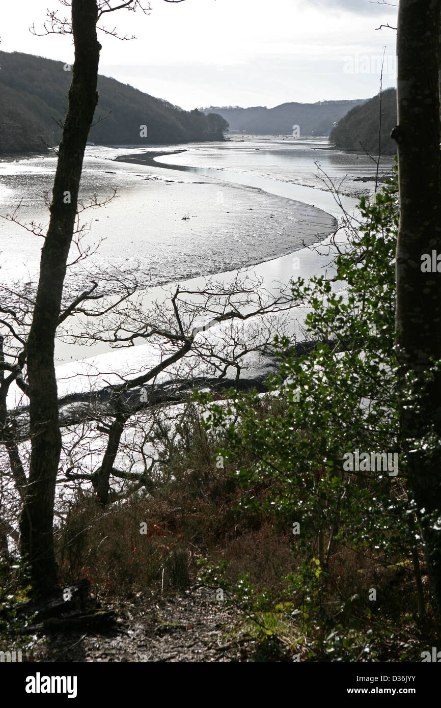 Wind-in-the-Willows territory Fowey river Cornwall between Lerryn and ...